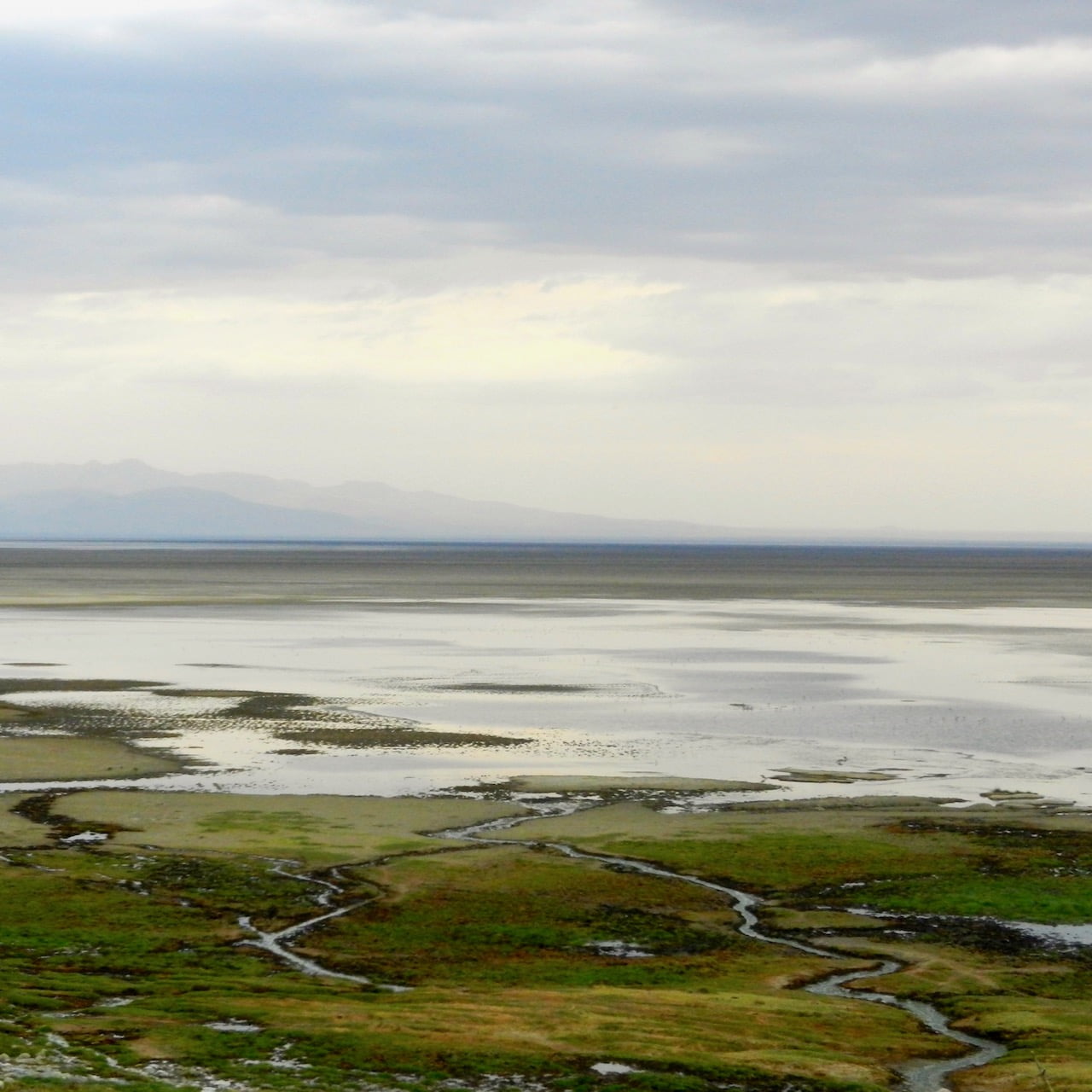 Parc national du lac Manyara - Safari en Tanzanie avec Hors Pistes