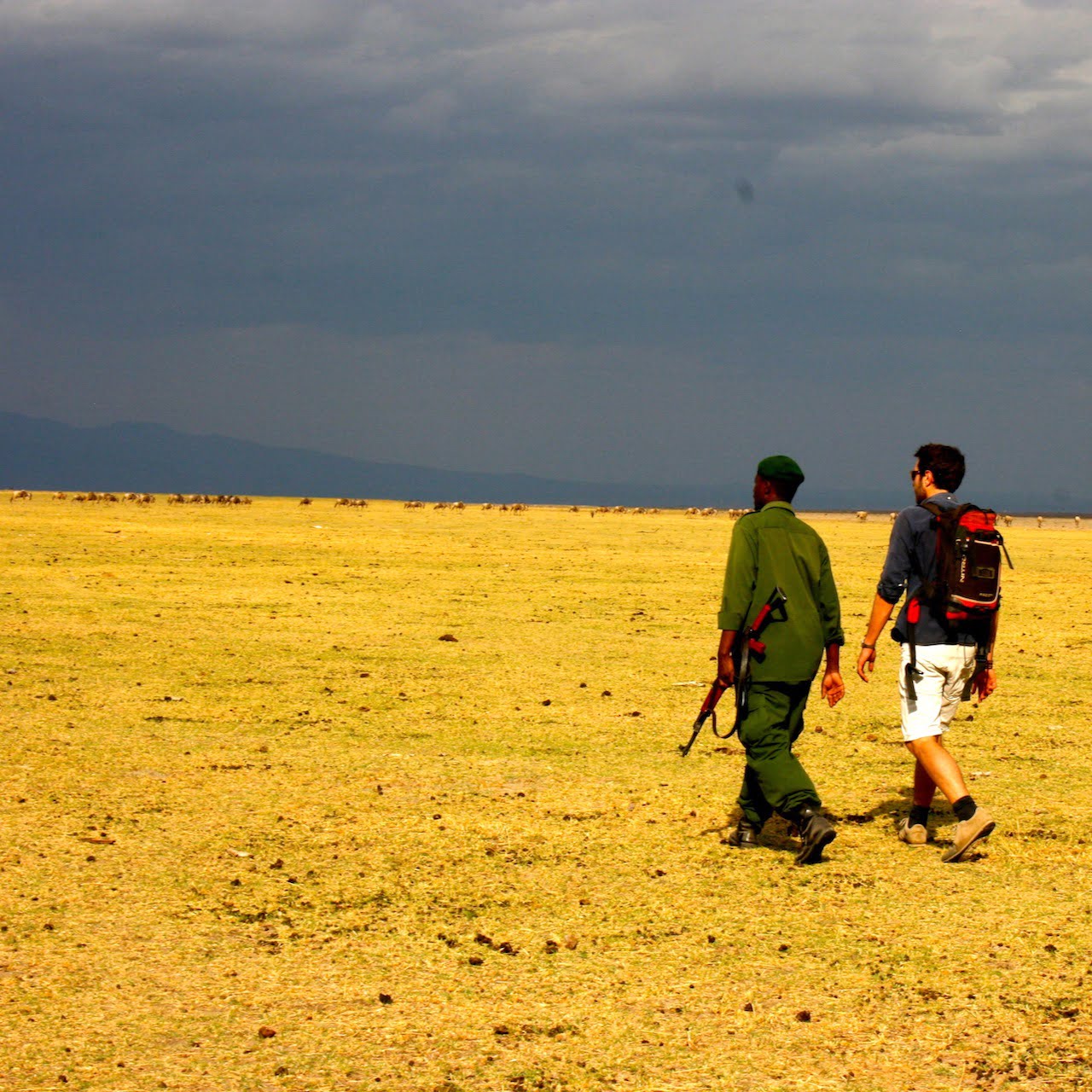 Parc national du lac Manyara - Safari en Tanzanie avec Hors Pistes